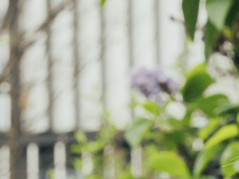 Arthur Guillouzouic wins the 2024 ADRES best young paper award | AMSE